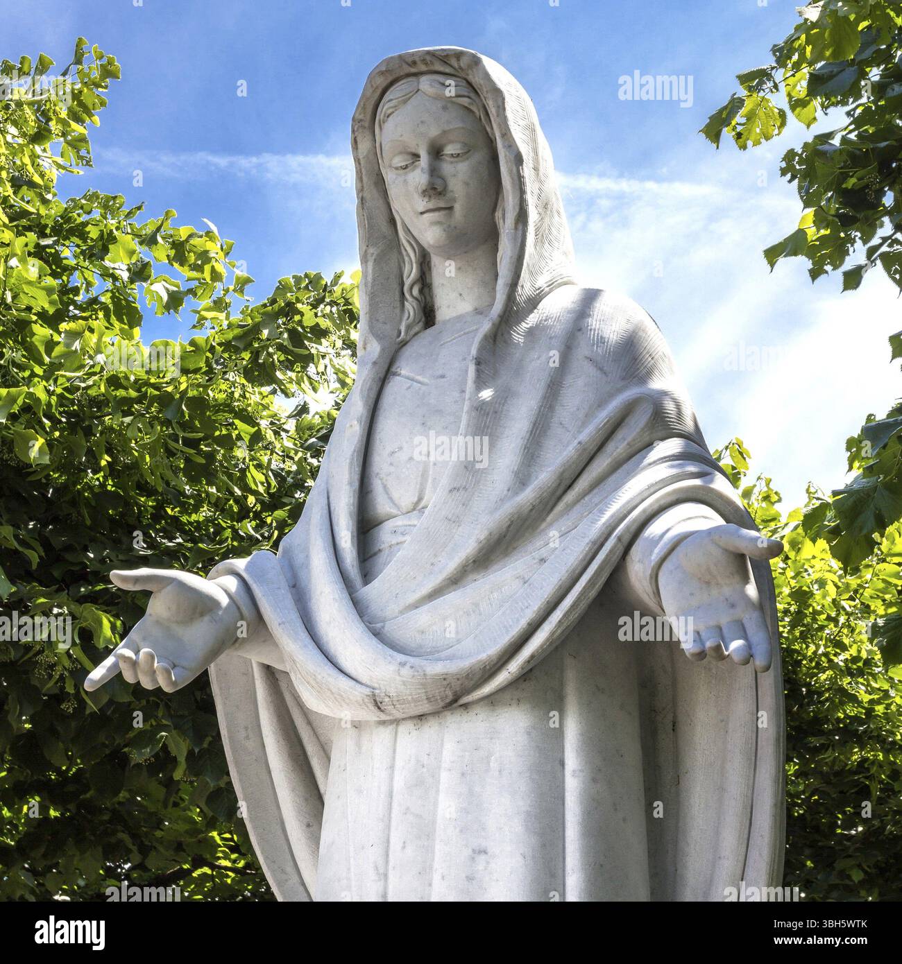 Statue of the Blessed Virgin Mary among trees Stock Photo - Alamy