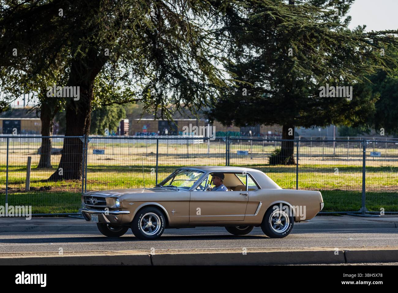 A 1965 Ford Mustang at the 2025 American Graffiti car show and festival ...