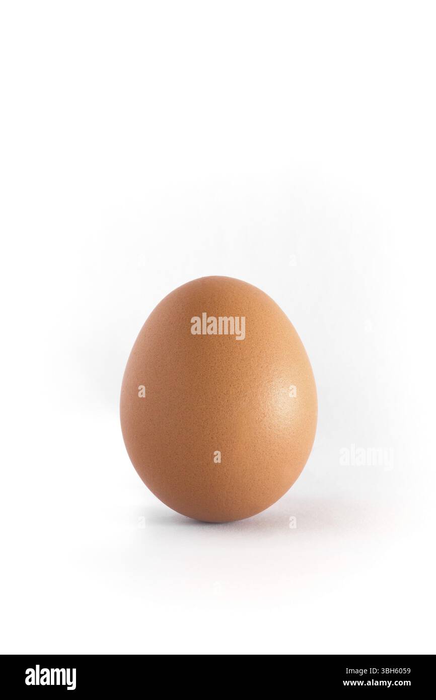 Single egg on white background vertical Stock Photo - Alamy
