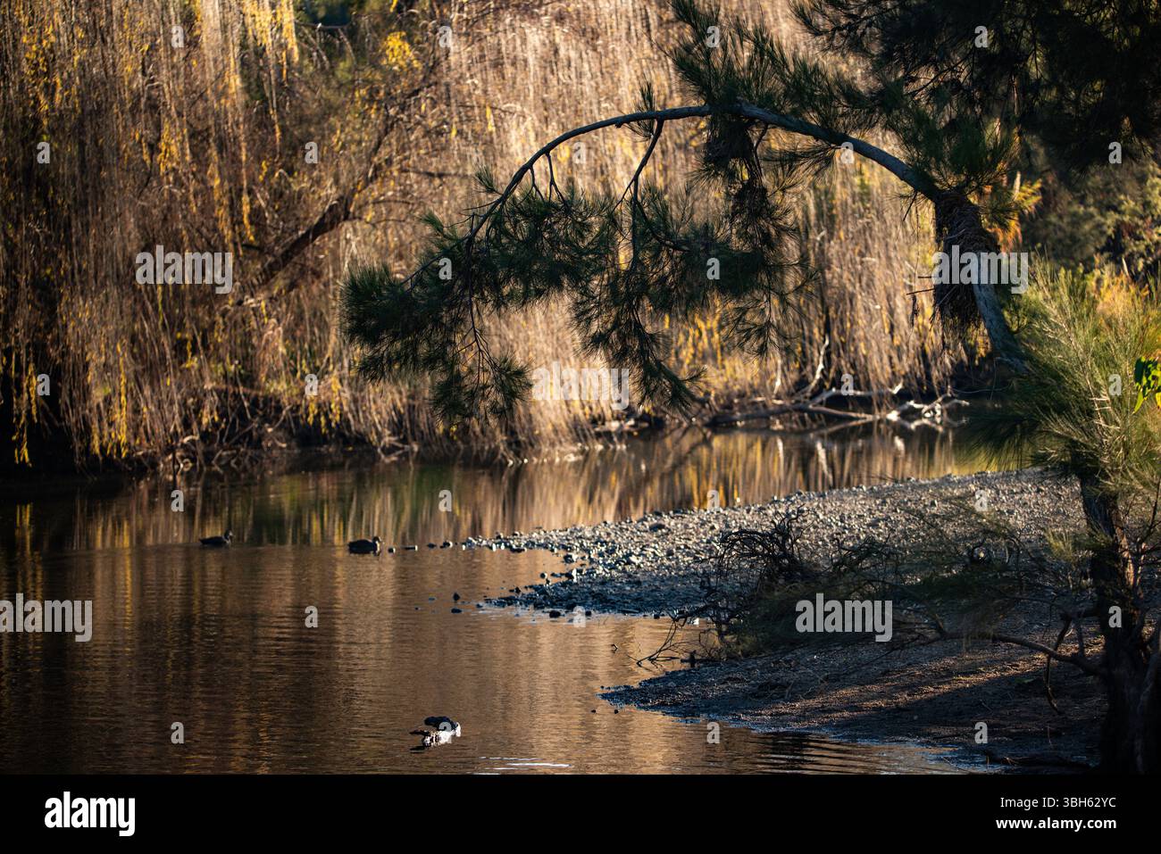 Australian waterway drone view hi-res stock photography and images - Alamy