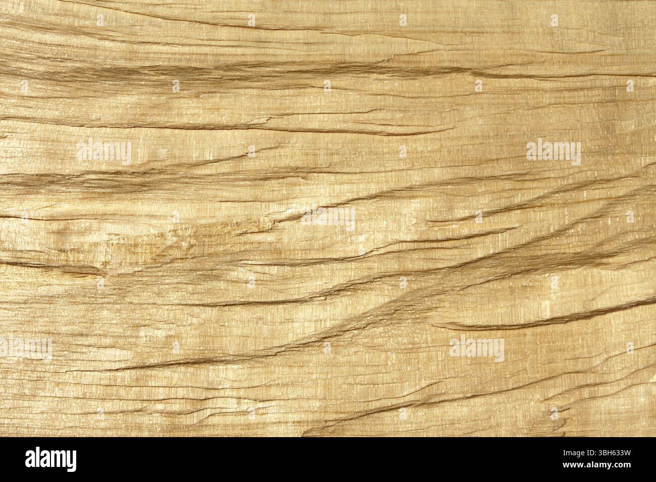 Broken log in bright sunlight as a detailed macro texture Stock Photo ...