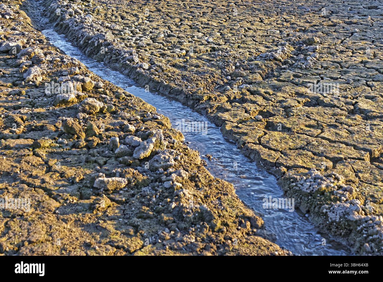 Small water stream flowing in the channel on dried cracked earth in hot ...