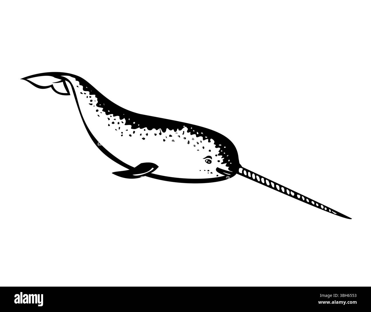 Mascot illustration of a narwhal, a stocky cetacean, toothed whale the ...