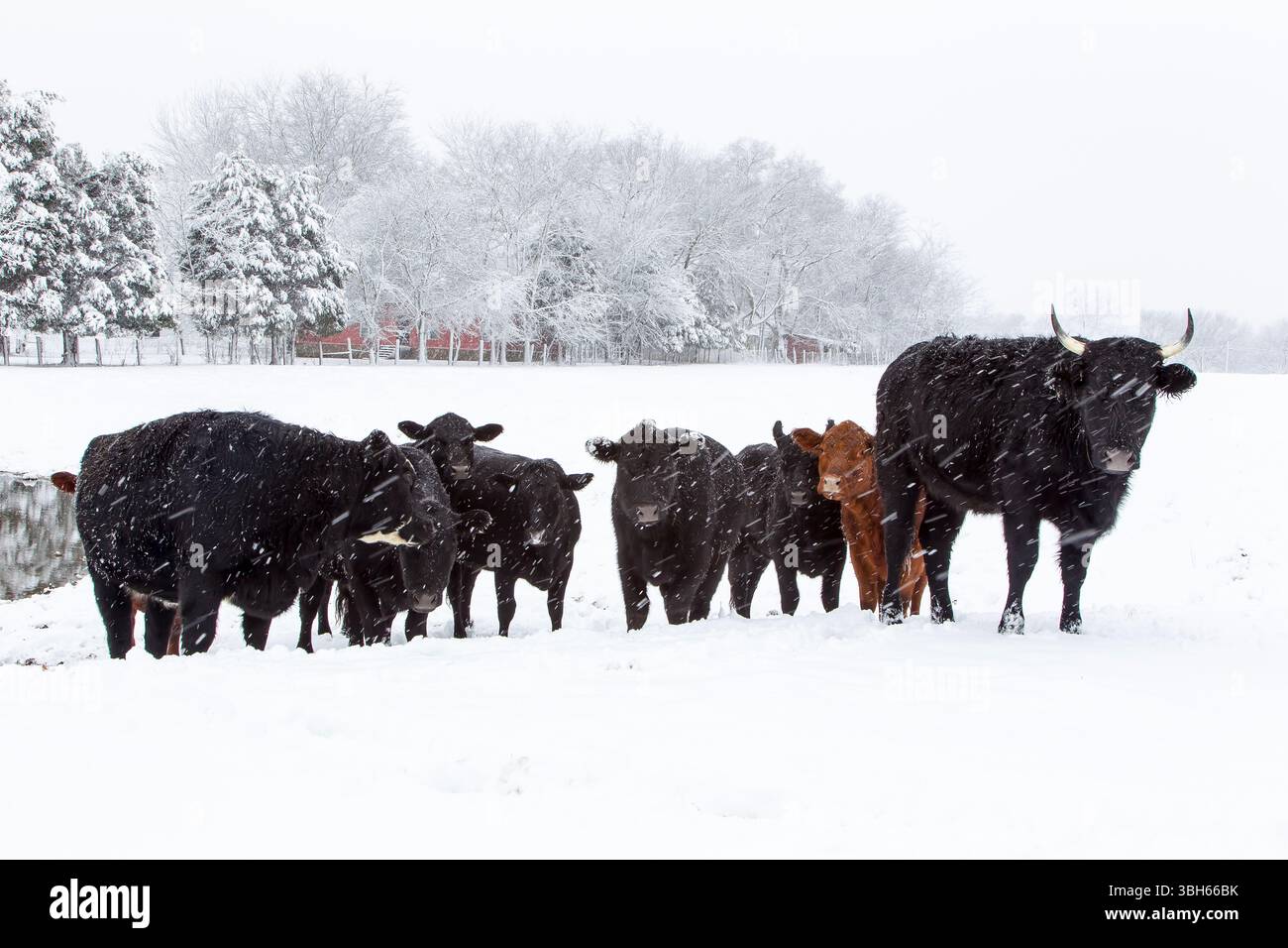 Editorial agriculture image Cut Out Stock Images & Pictures - Alamy