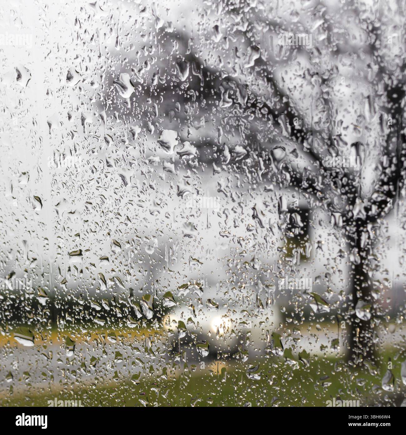 Driving in rain. Raining and wet weather driving conditions on the road ...