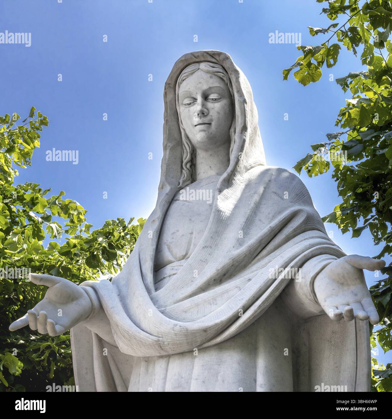 Statue of the Blessed Virgin Mary among trees Stock Photo - Alamy