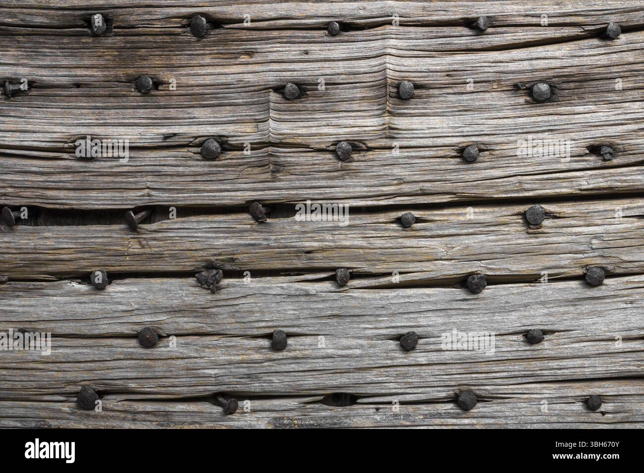 Panel of wood rotten with rusty nails stuck inside Stock Photo - Alamy