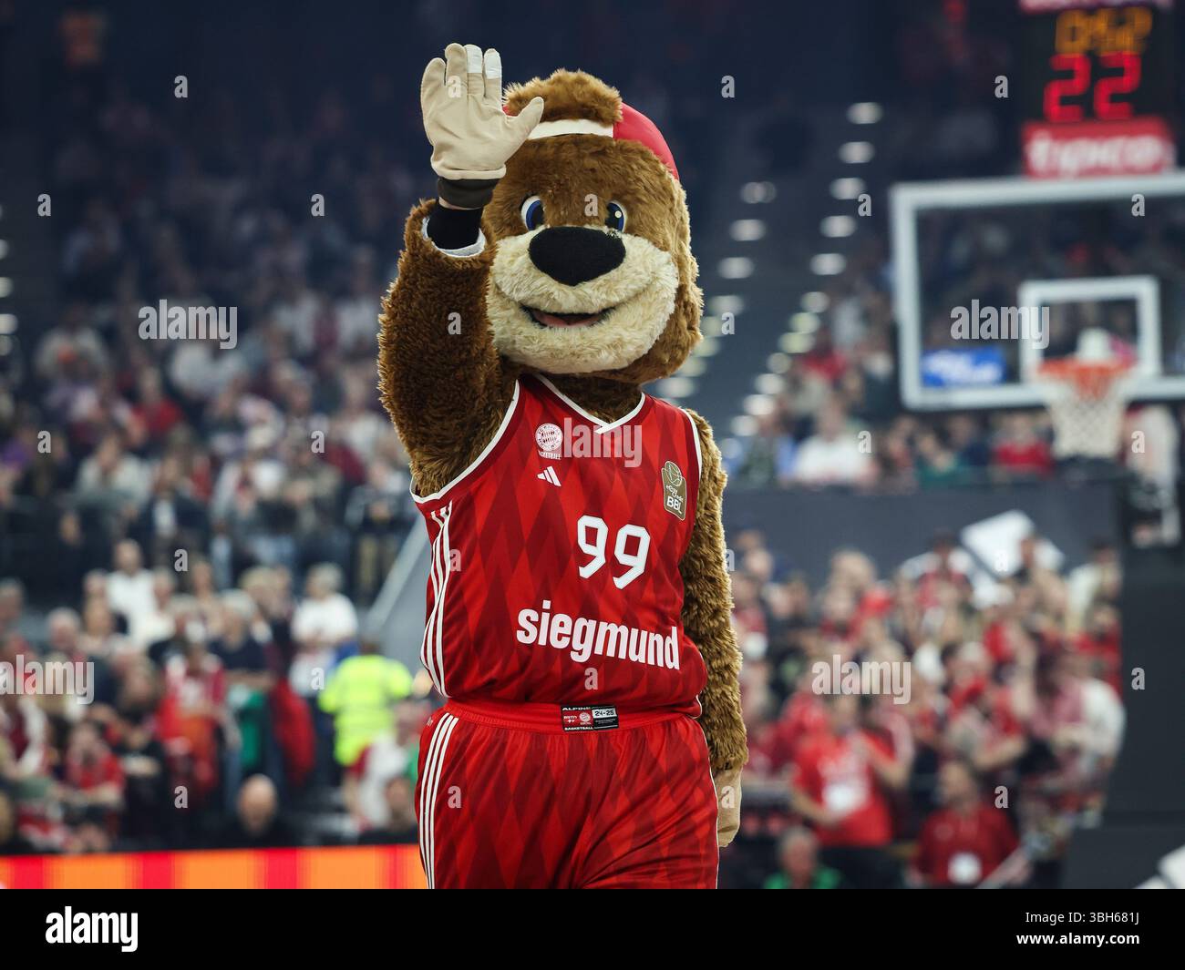 07 June 2025, Bavaria, Munich: Basketball: Bundesliga, FC Bayern Munich ...