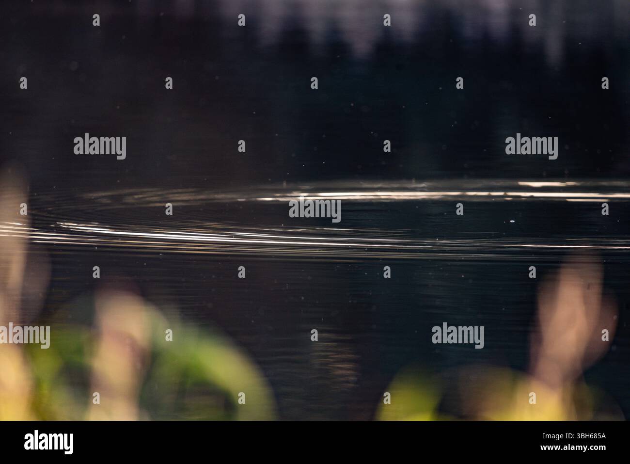 Water ripples on calm river hi-res stock photography and images - Alamy