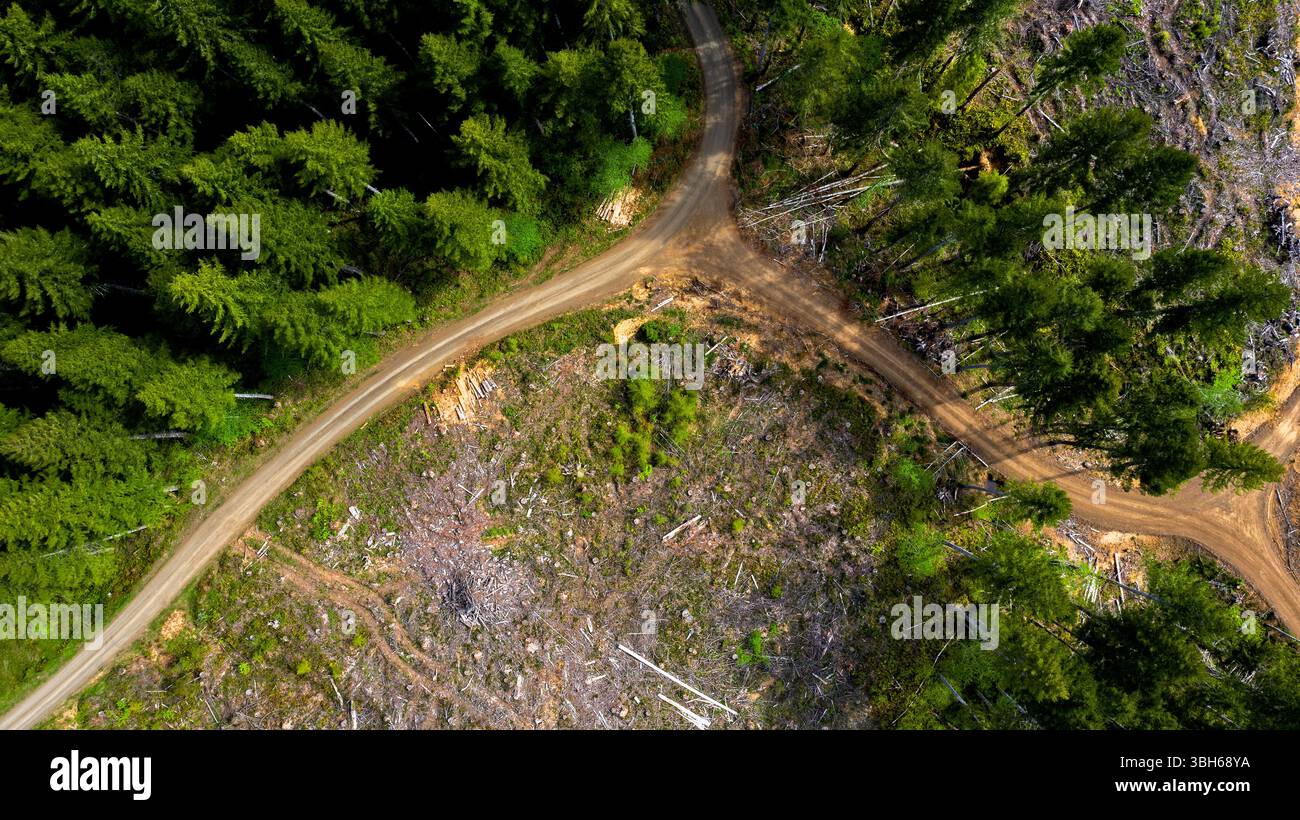 Tillamook Forest, Oregon - May 10th 2020: Aerial view of a logging road ...