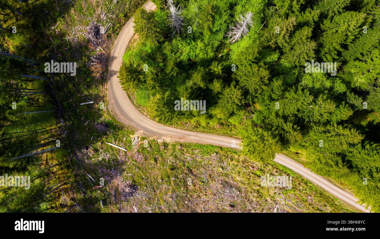 Aerial clear cut forest washington hi-res stock photography and images ...