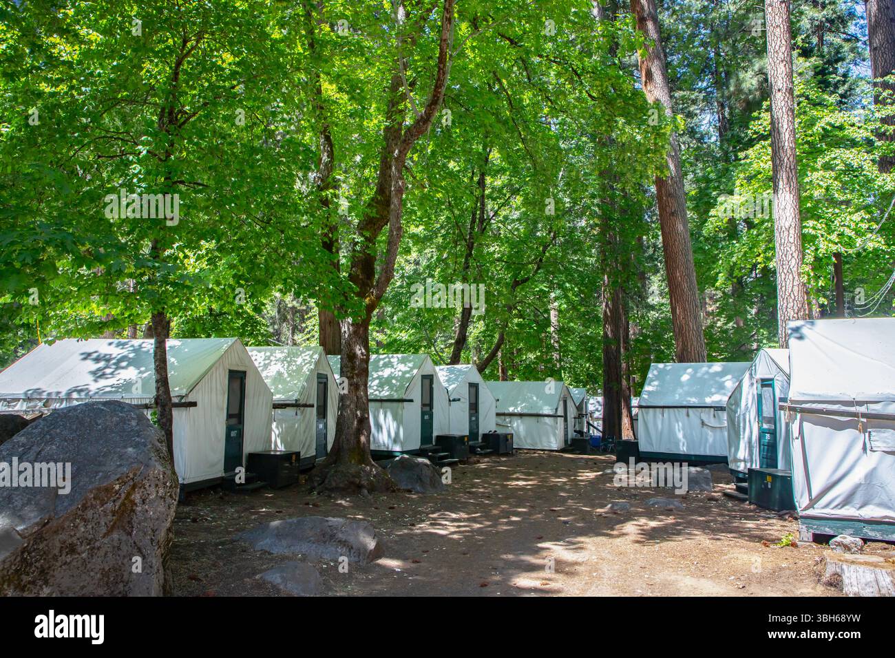 Tent Cabins at Curry Village, also known as Camp Curry, in Yosemite ...