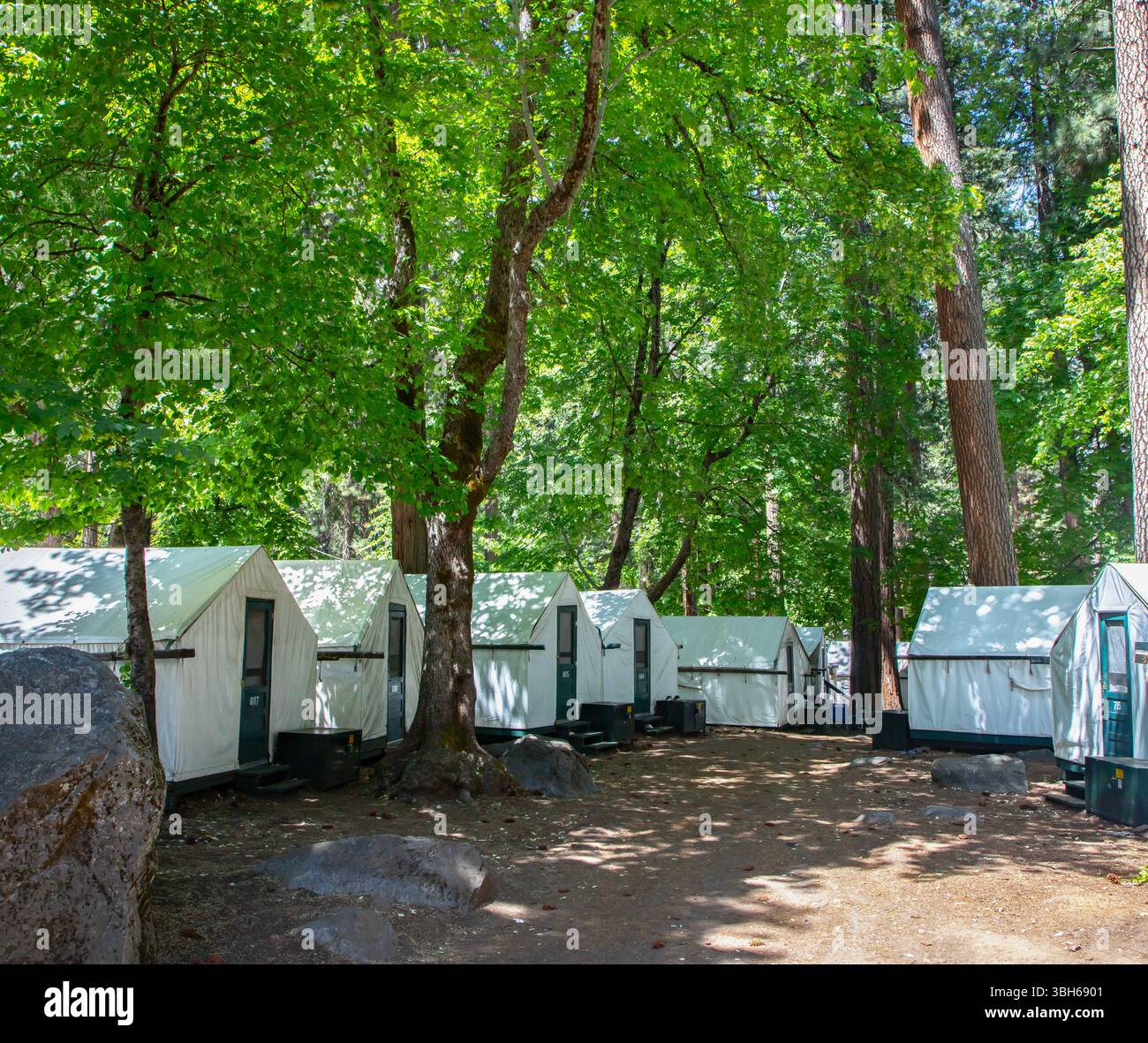 Tent Cabins at Curry Village, also known as Camp Curry, in Yosemite ...