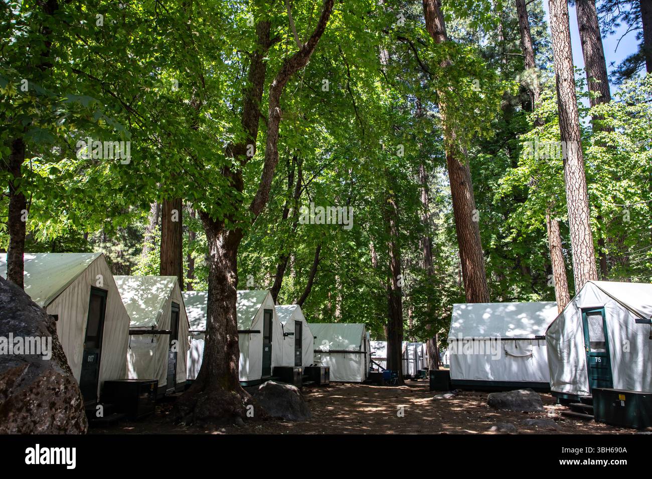 Tent Cabins at Curry Village, also known as Camp Curry, in Yosemite ...