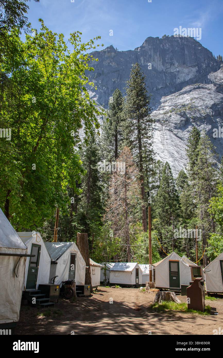 Tent Cabins at Curry Village, also known as Camp Curry, in Yosemite ...