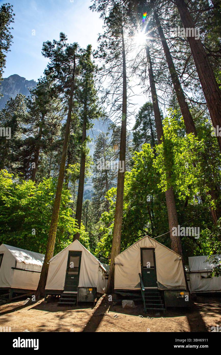 Yosemite Curry Village Weather