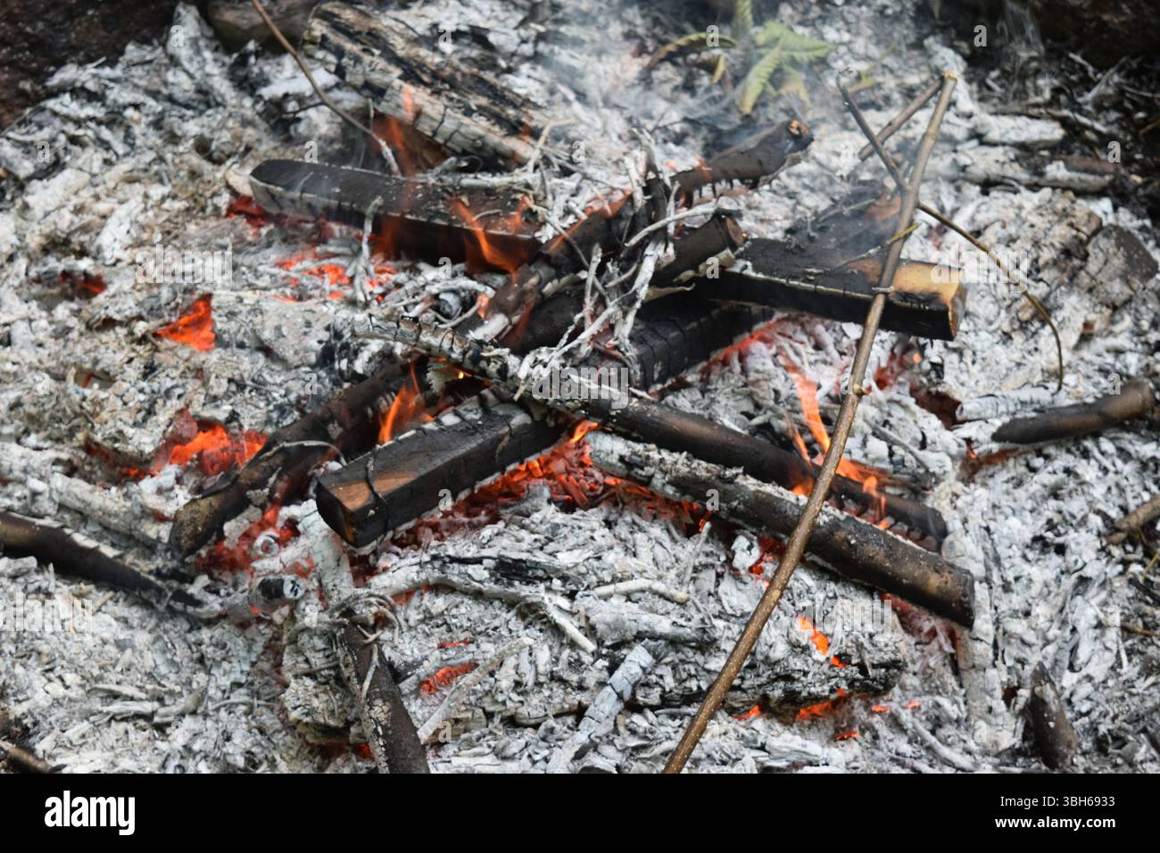 Close-up of smoldering tinder and charred wood remnants in a fire pit ...