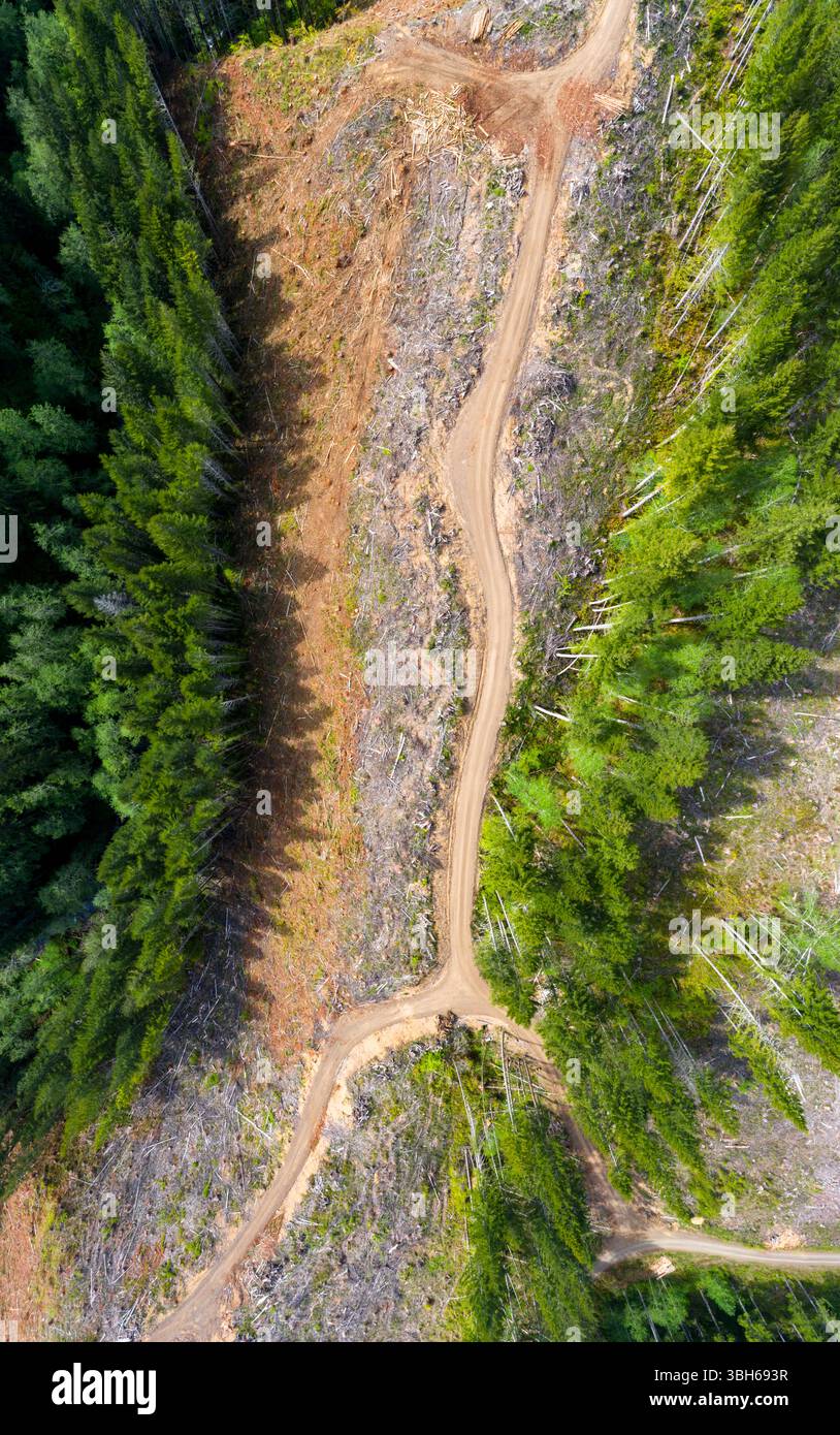 Tillamook Forest, Oregon - May 10th 2020: Aerial view of clear-cut ...