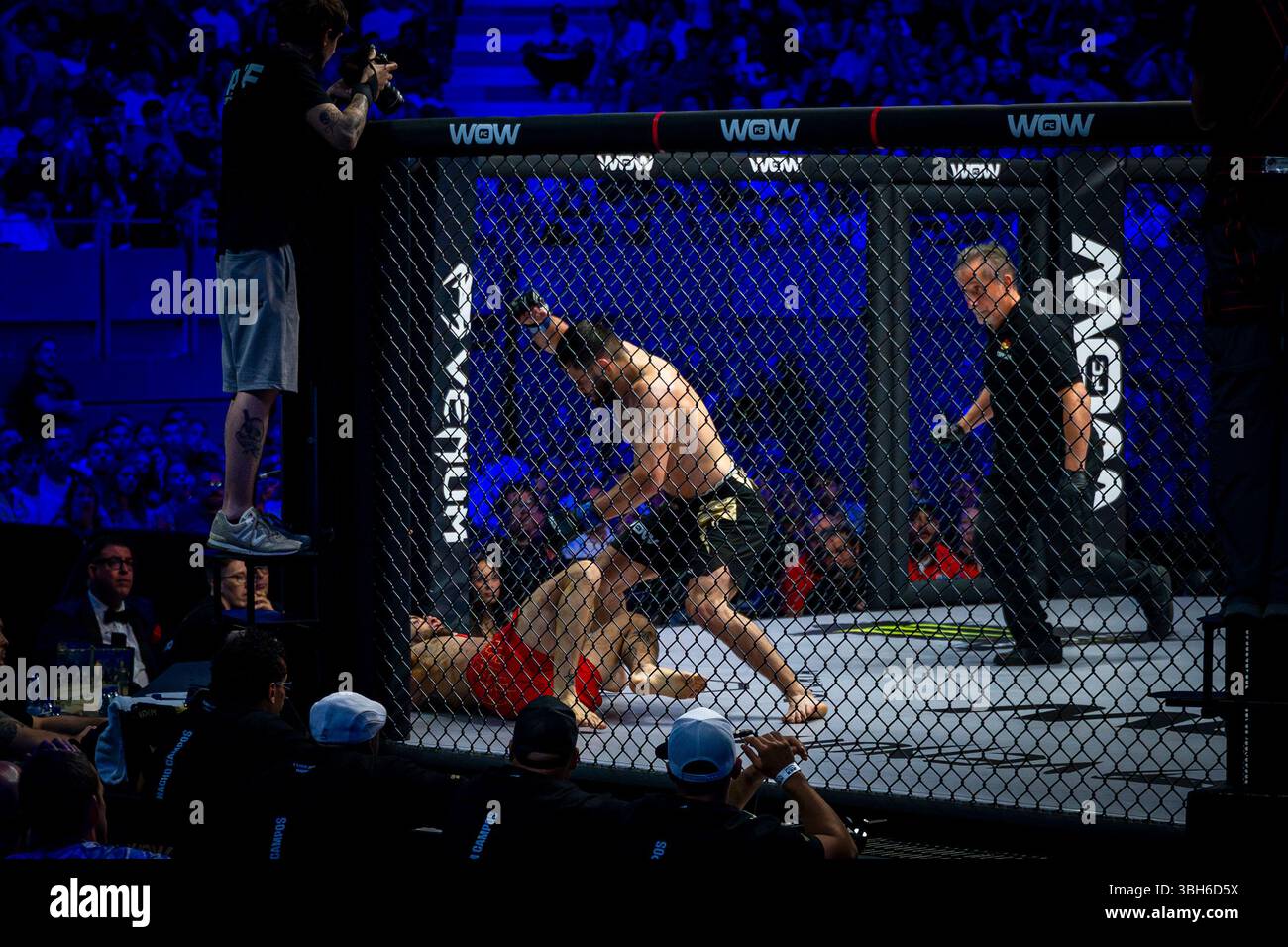 Madrid, Spain. June 7, 2025. Nikolay Grozdev knocked out Nacho Campos ...