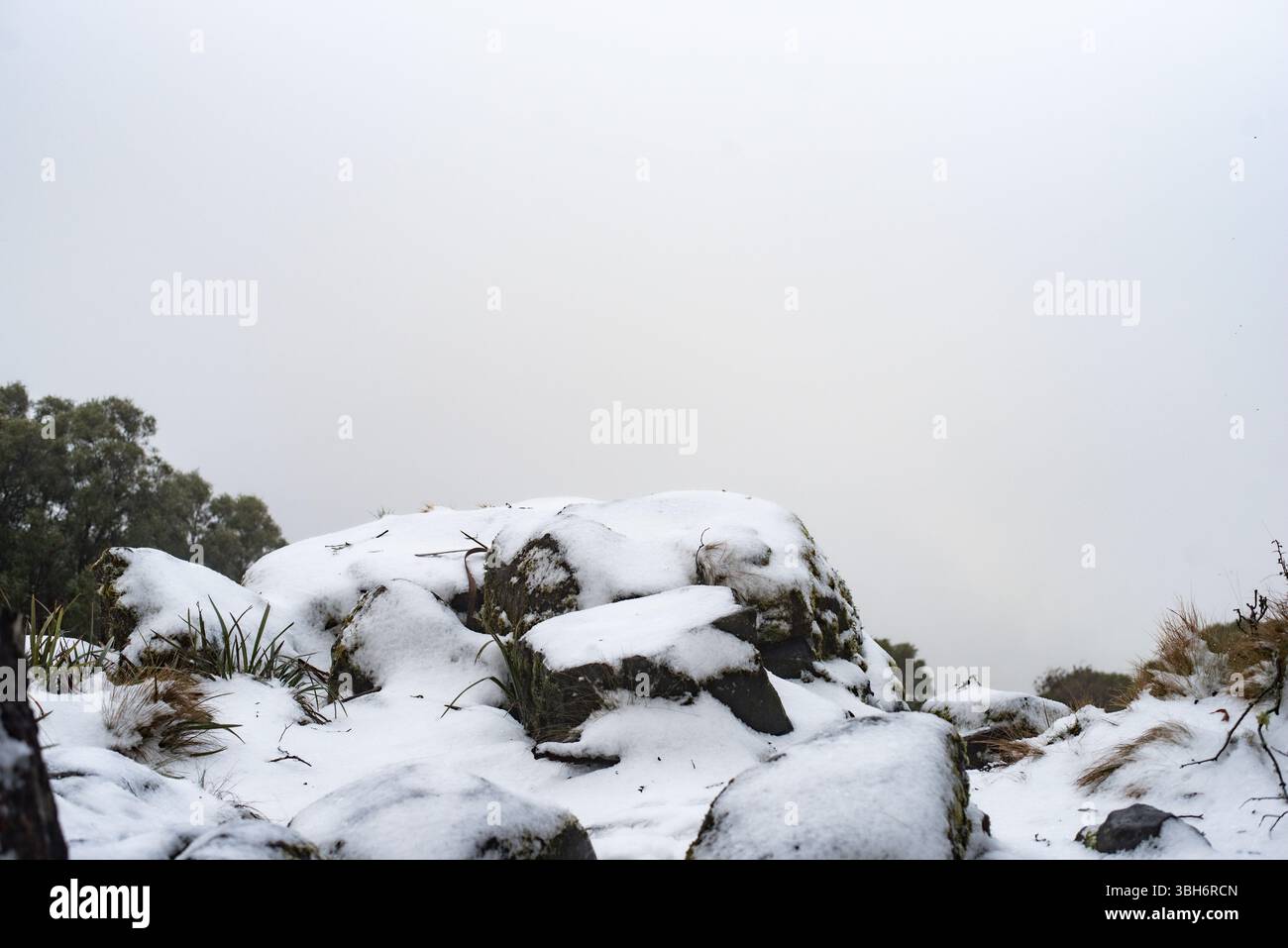 Australian alps national park hi-res stock photography and images - Alamy