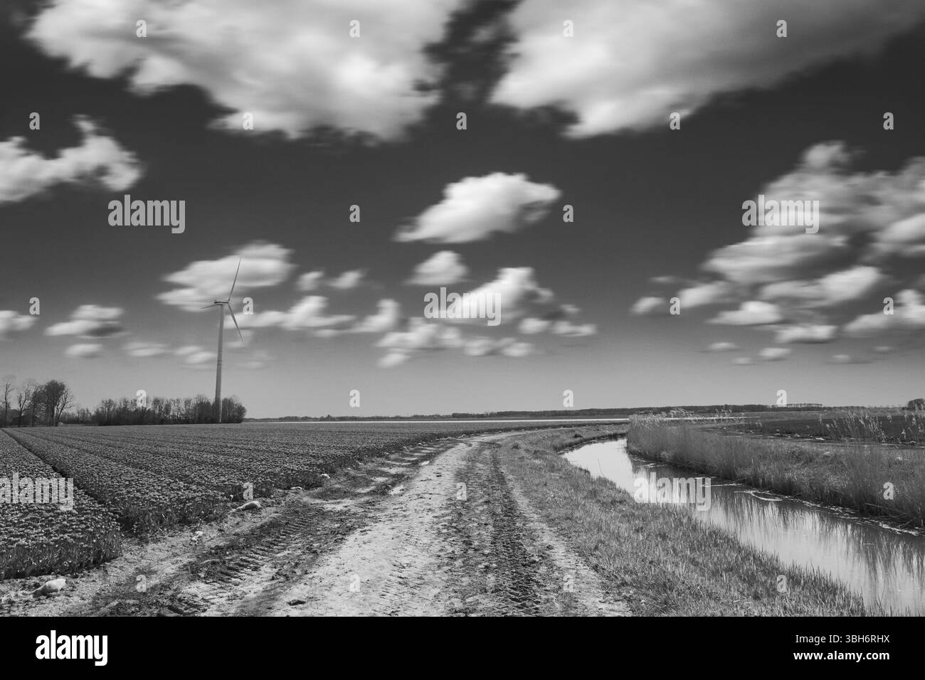 Big sky open landscape in the Dutch polder of Flevoland and ...