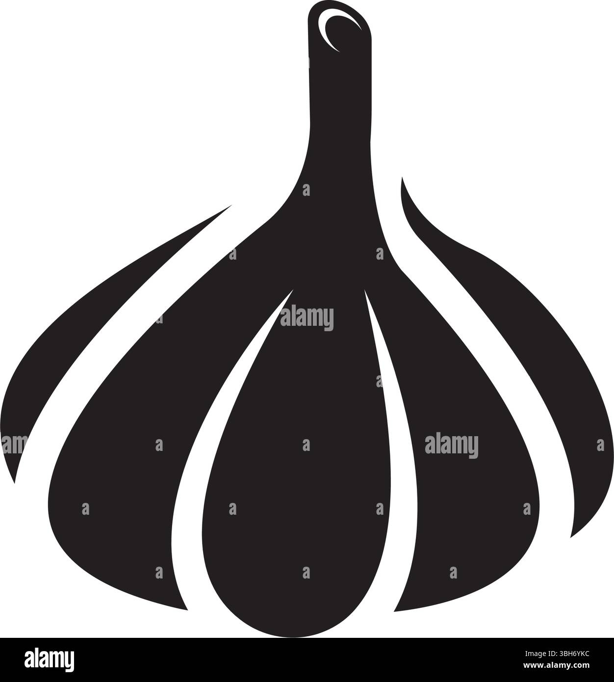 Vector illustration garlic sketch Black and White Stock Photos & Images ...
