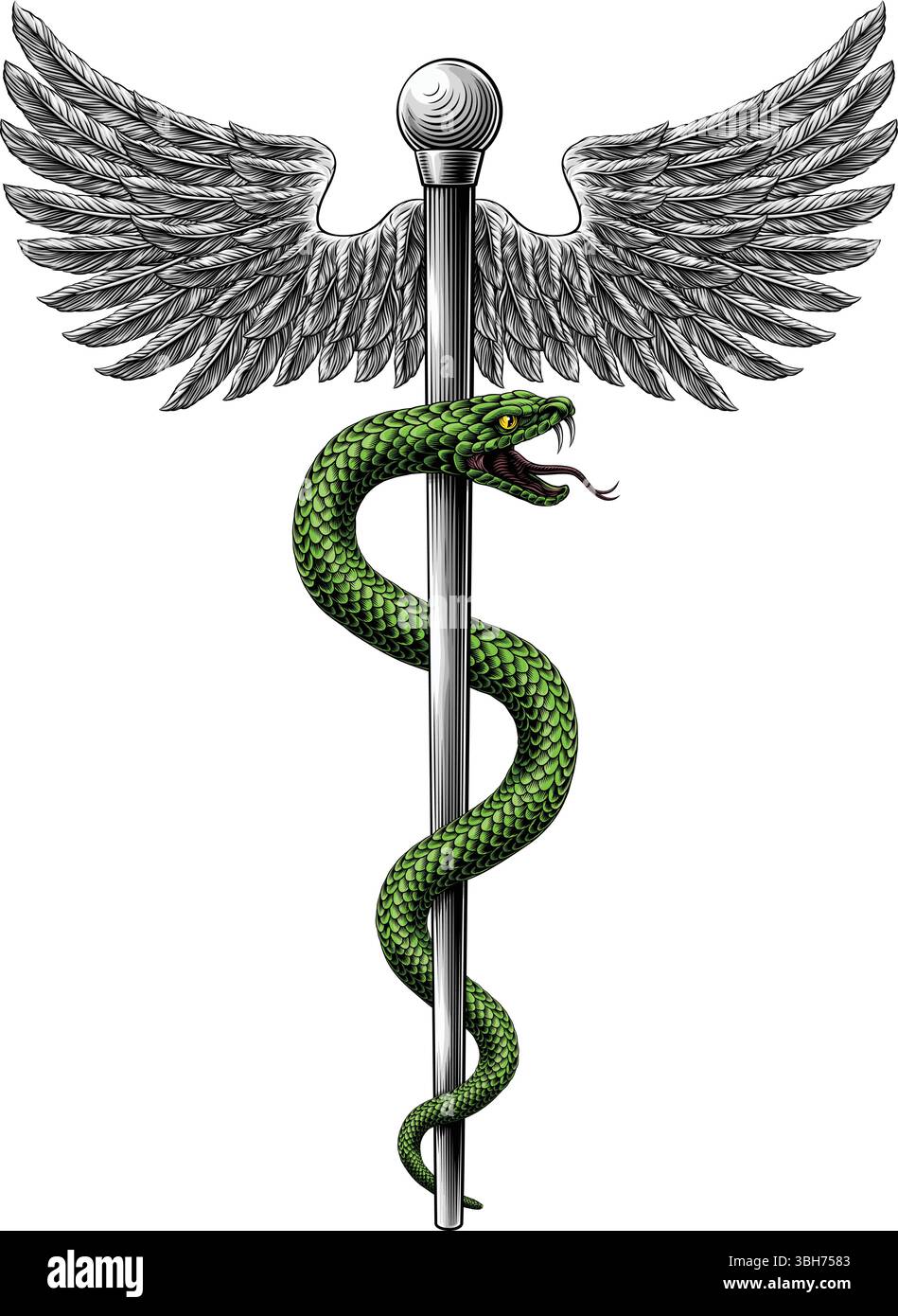 Rod of Asclepius Caduceus Medical Doctor Symbol Stock Vector Image ...