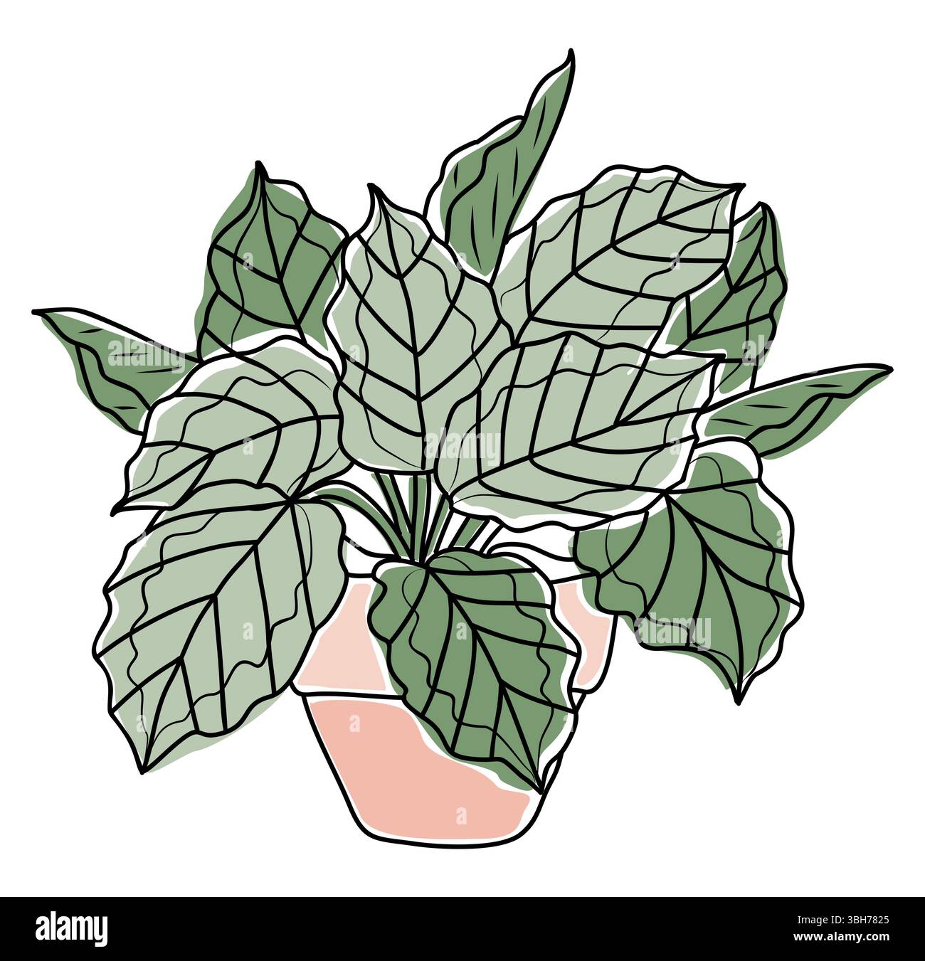 Hand drawn house plant colored vector sketch Stock Vector Image & Art ...