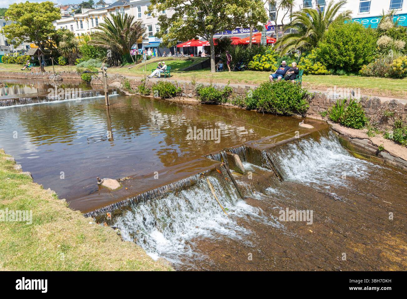 Dawlish Water river flowing through park gardens in town centre ...