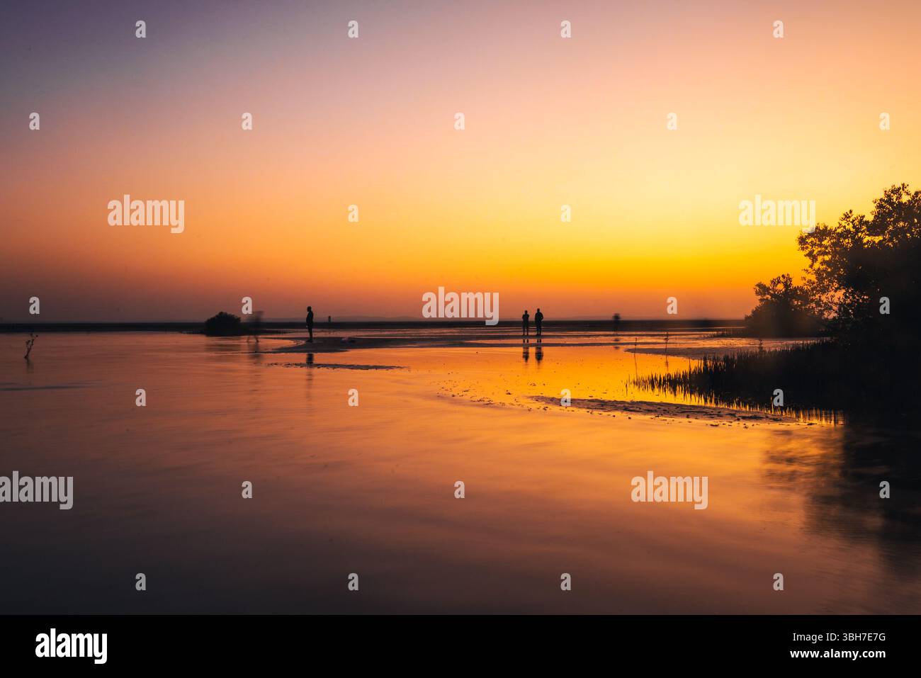 Nature of beauty of Red sea shore of Saudi Arabia Stock Photo - Alamy