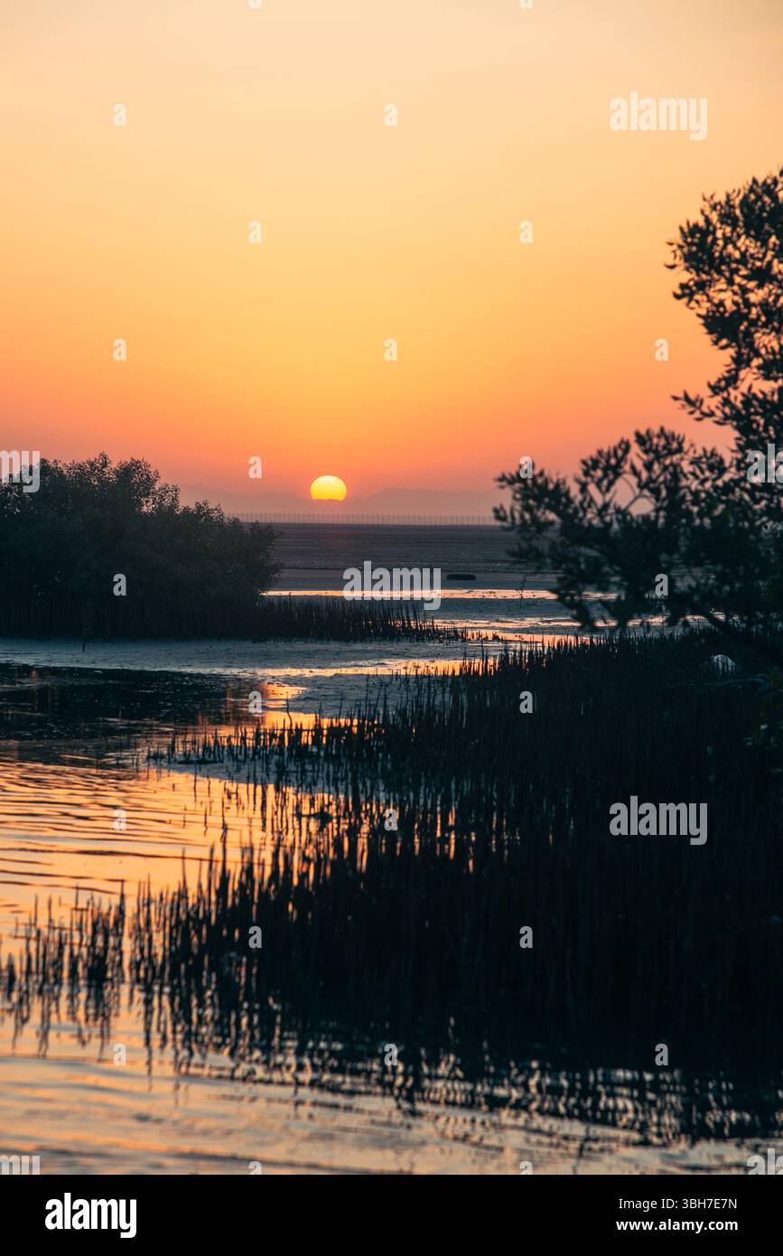 Nature of beauty of Red sea shore of Saudi Arabia Stock Photo - Alamy