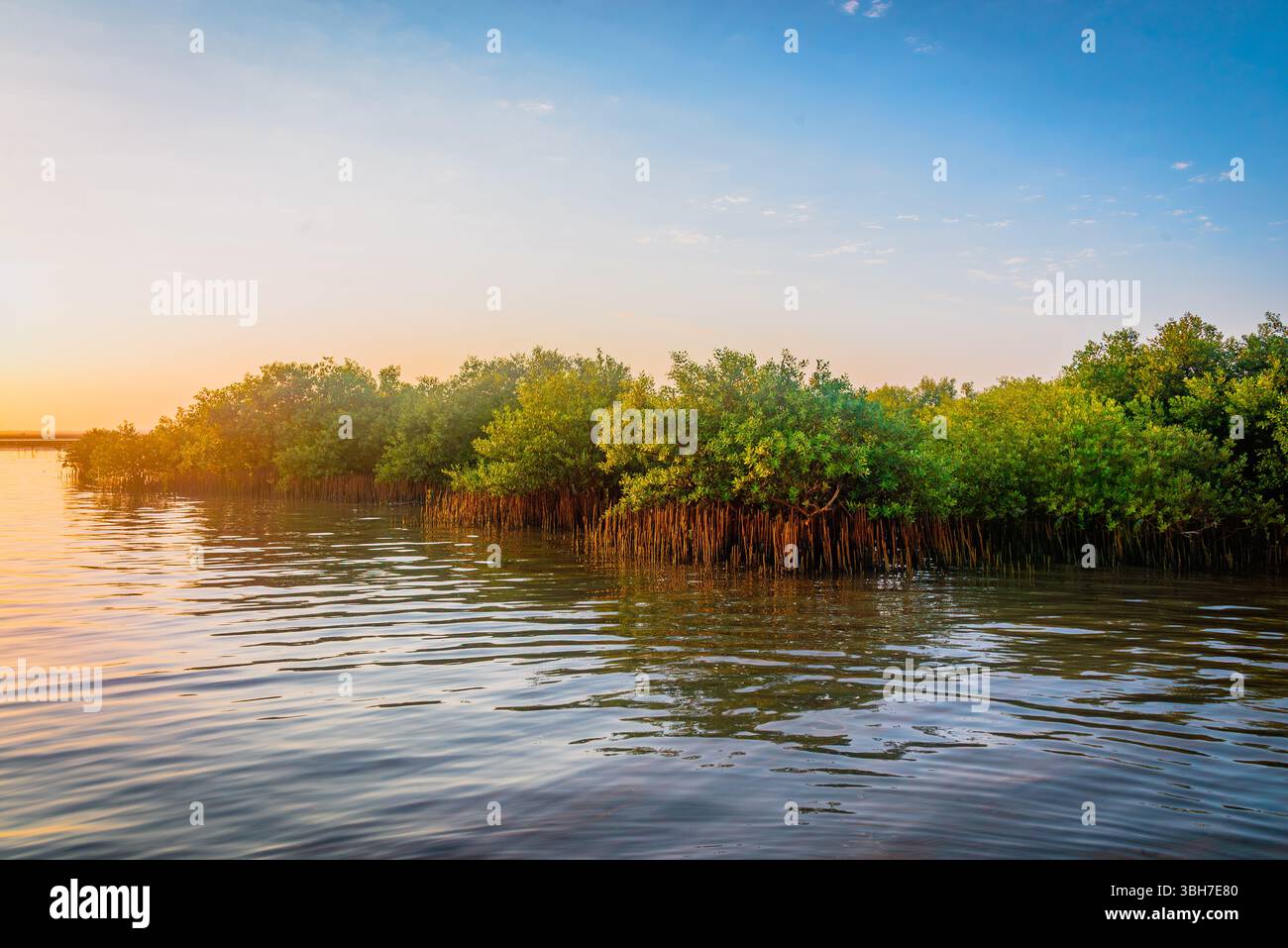 Nature of beauty of Red sea shore of Saudi Arabia Stock Photo - Alamy