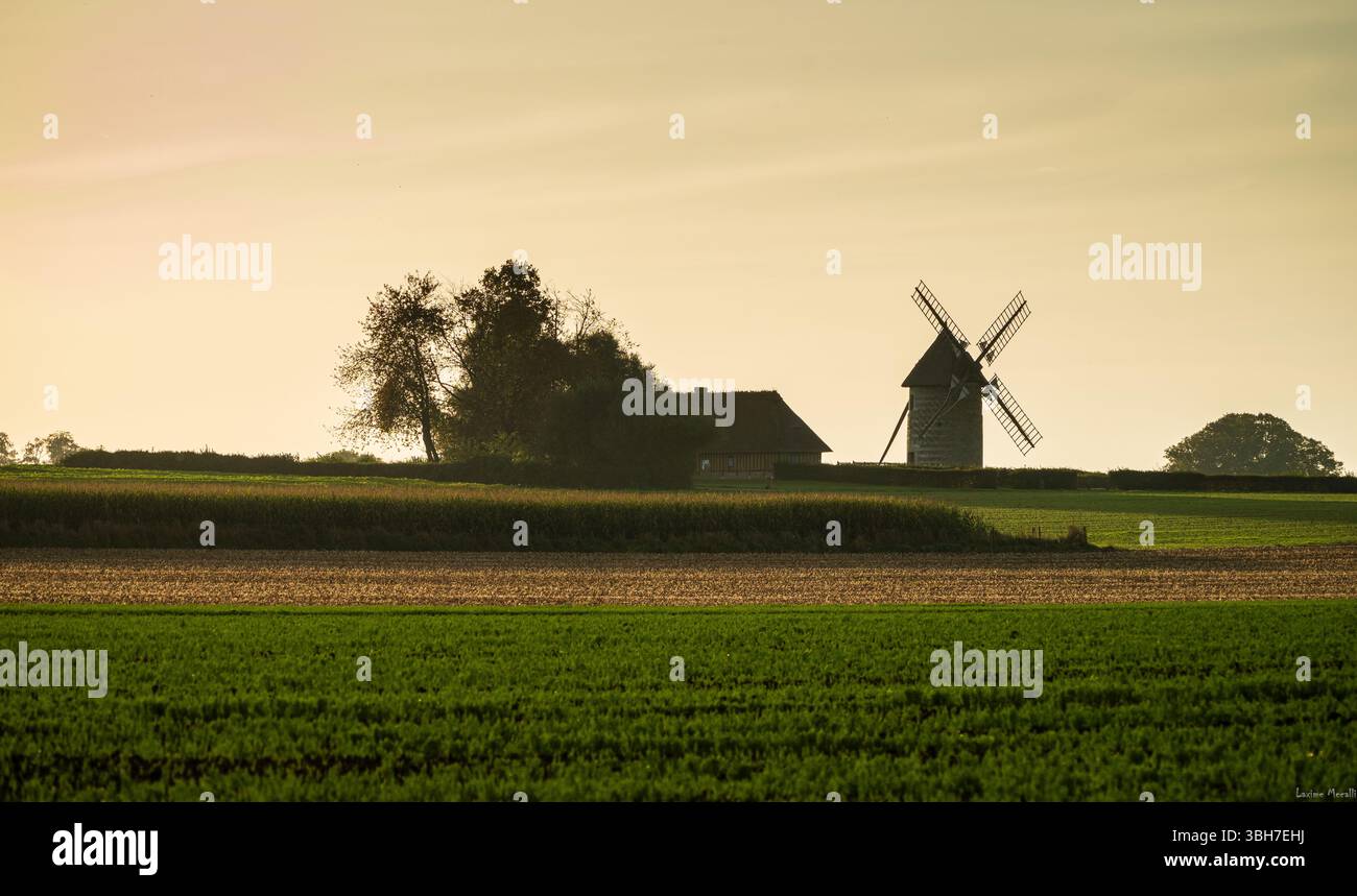 Calmee hi-res stock photography and images - Alamy