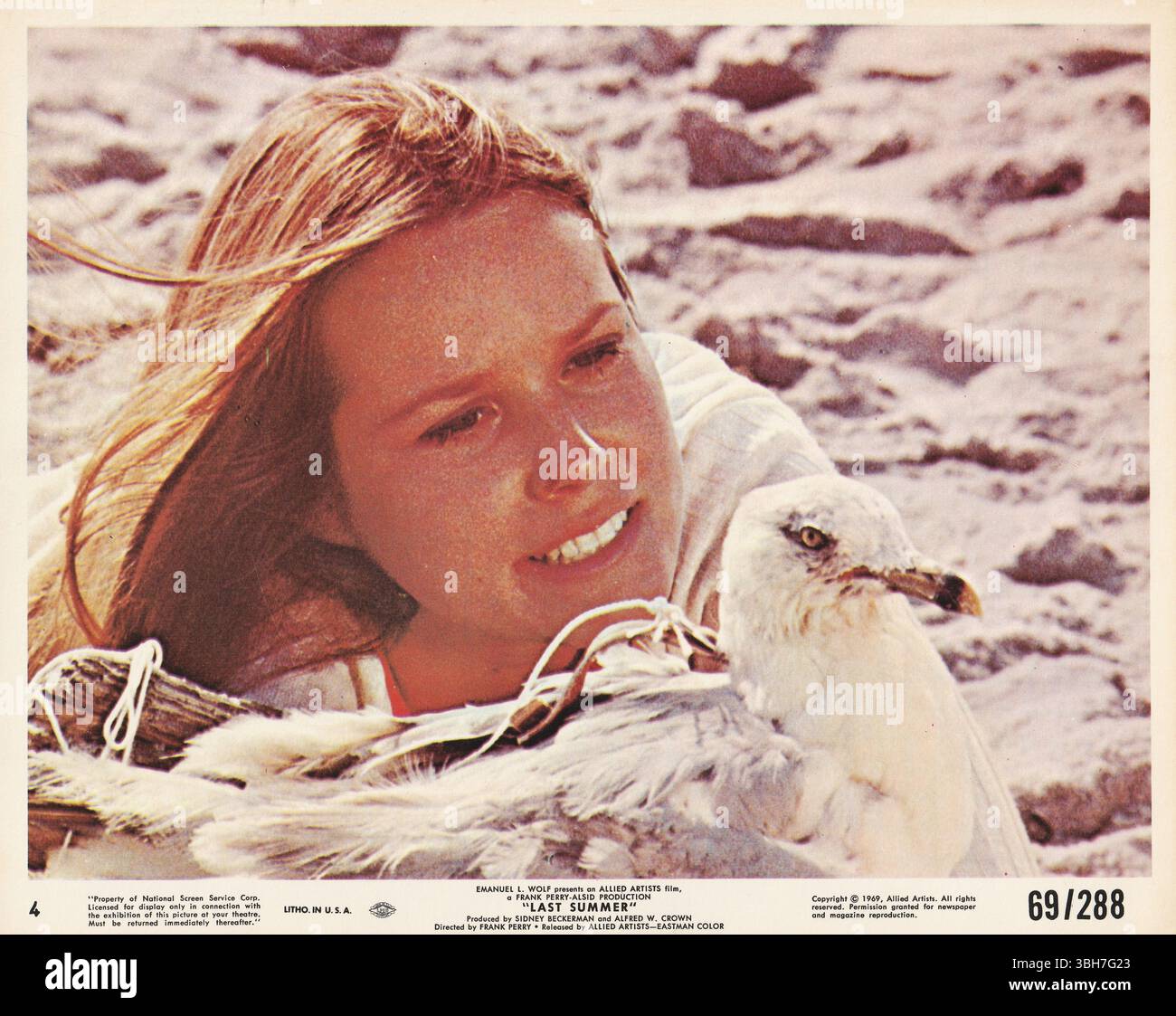 Last Summer 1969 Barbara Hershey Stock Photo - Alamy
