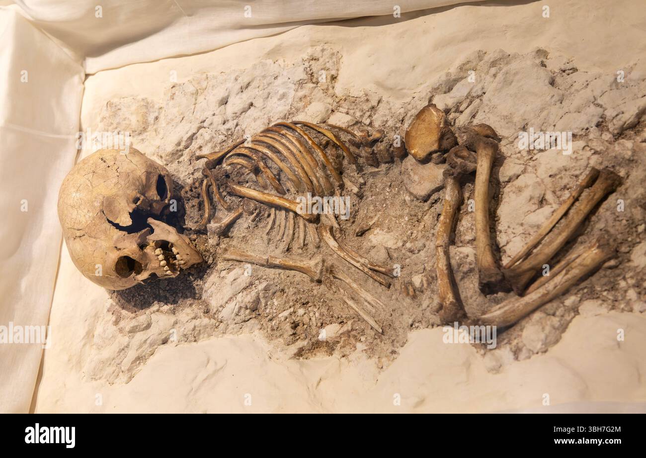 Neolithic archaeology exhibition inside Alexander Keiller Museum ...