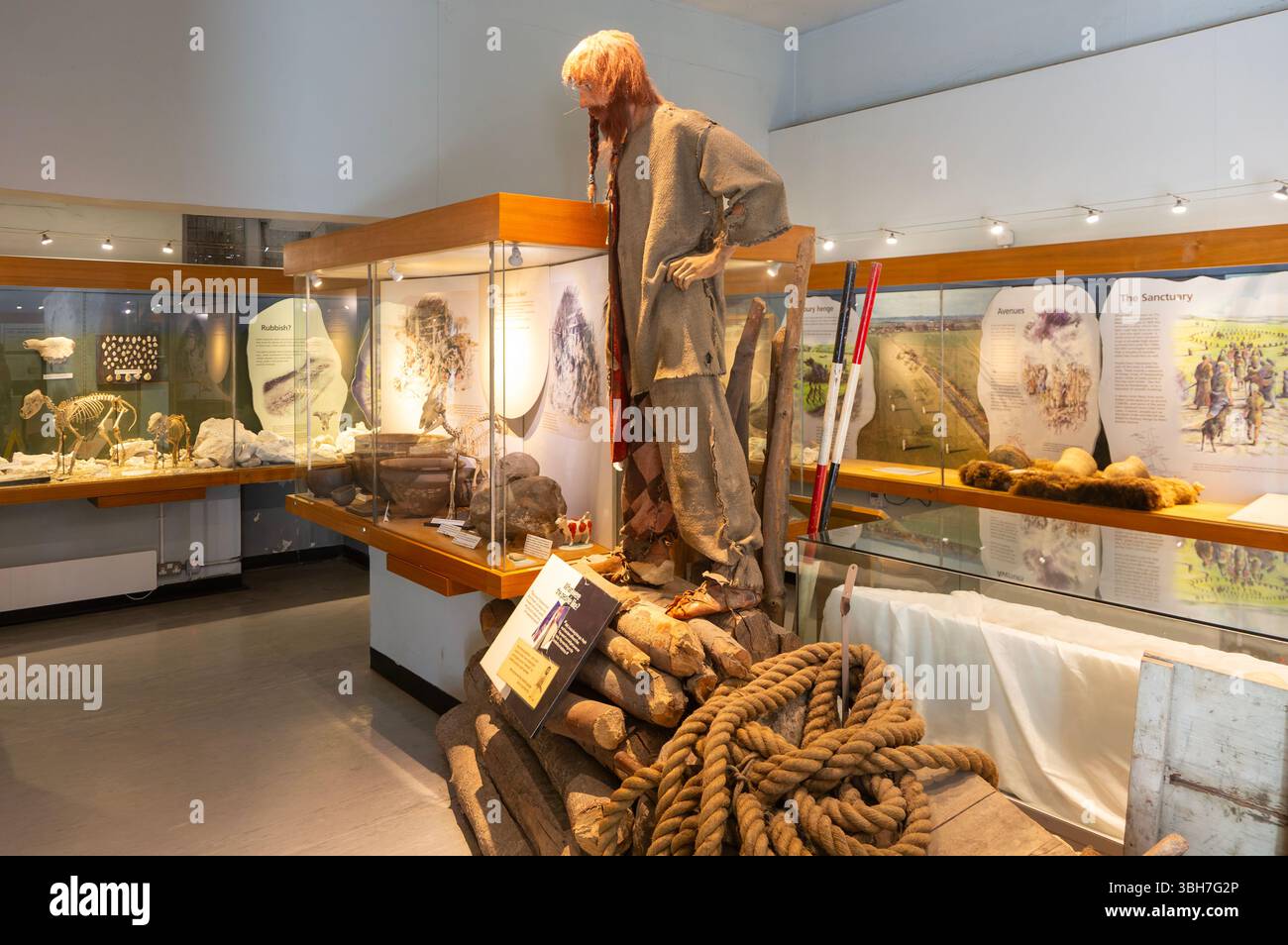 Neolithic archaeology exhibition inside Alexander Keiller Museum ...