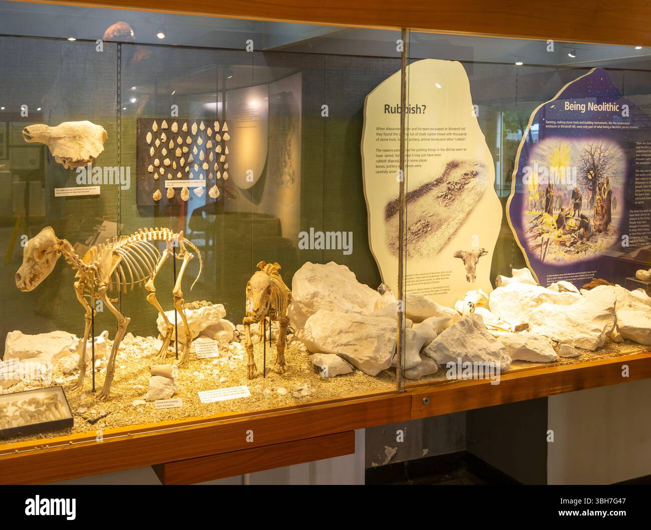 Neolithic archaeology exhibition inside Alexander Keiller Museum ...