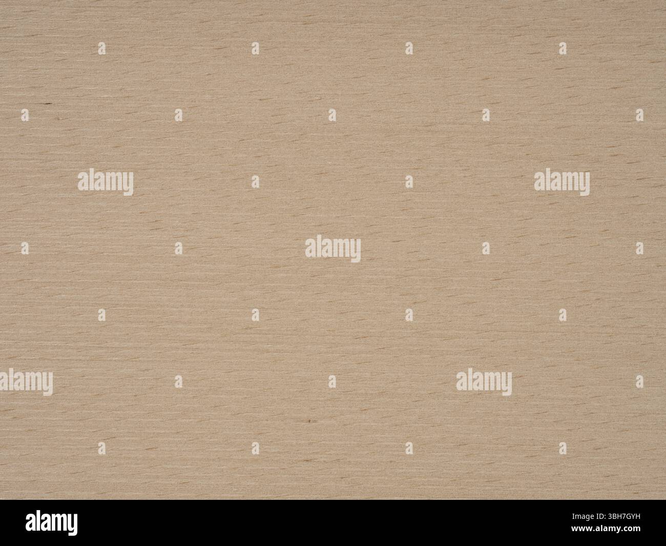 Warm beige and soft cream hues blend harmoniously in this birch veneer ...
