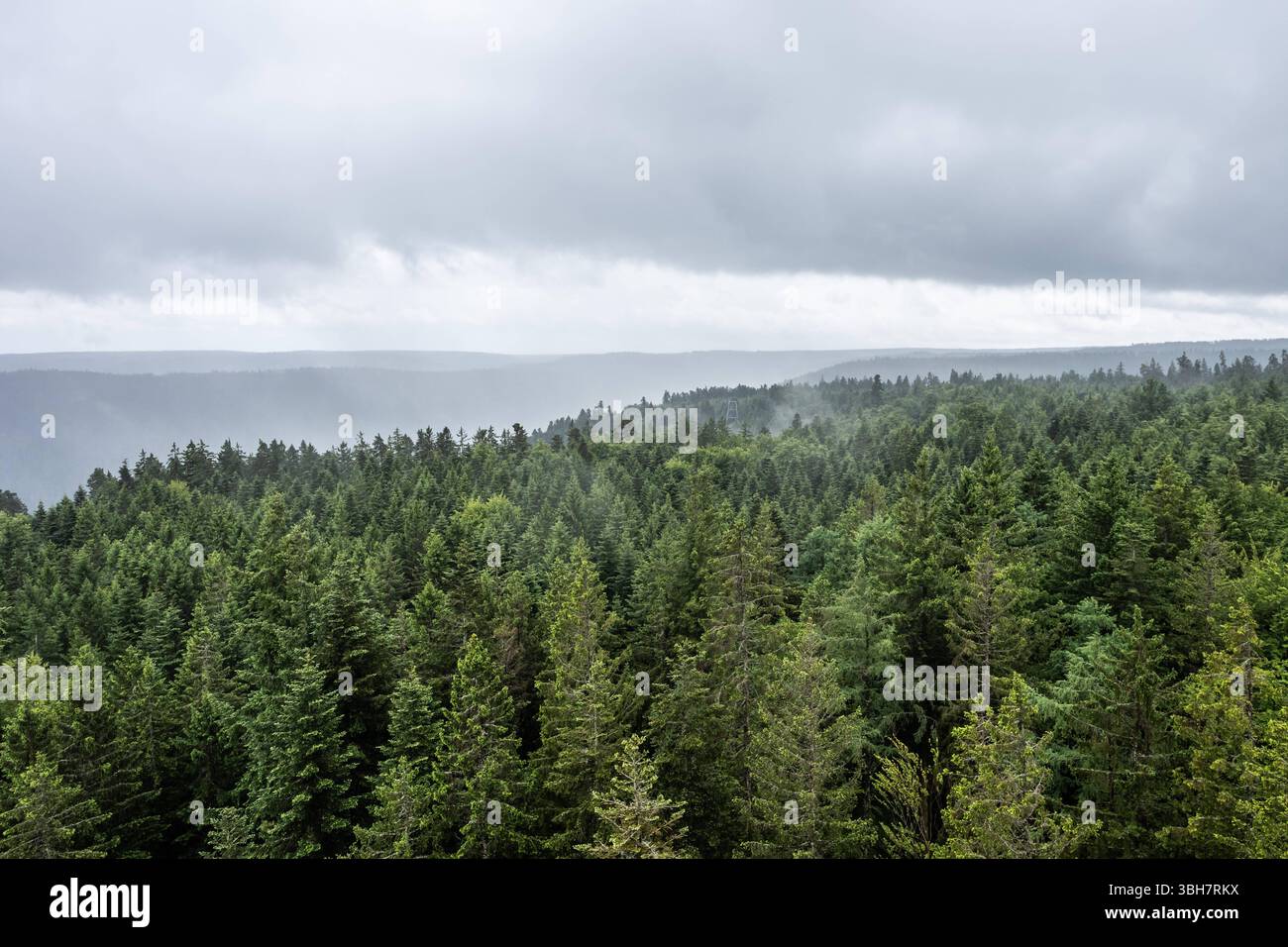 Dunkle Wolken Sind ber Einem Waldst ck Vom Aussichtsturm Des dunkle-wolken-sind-ber-einem-waldst-ck-vom-aussichtsturm-des