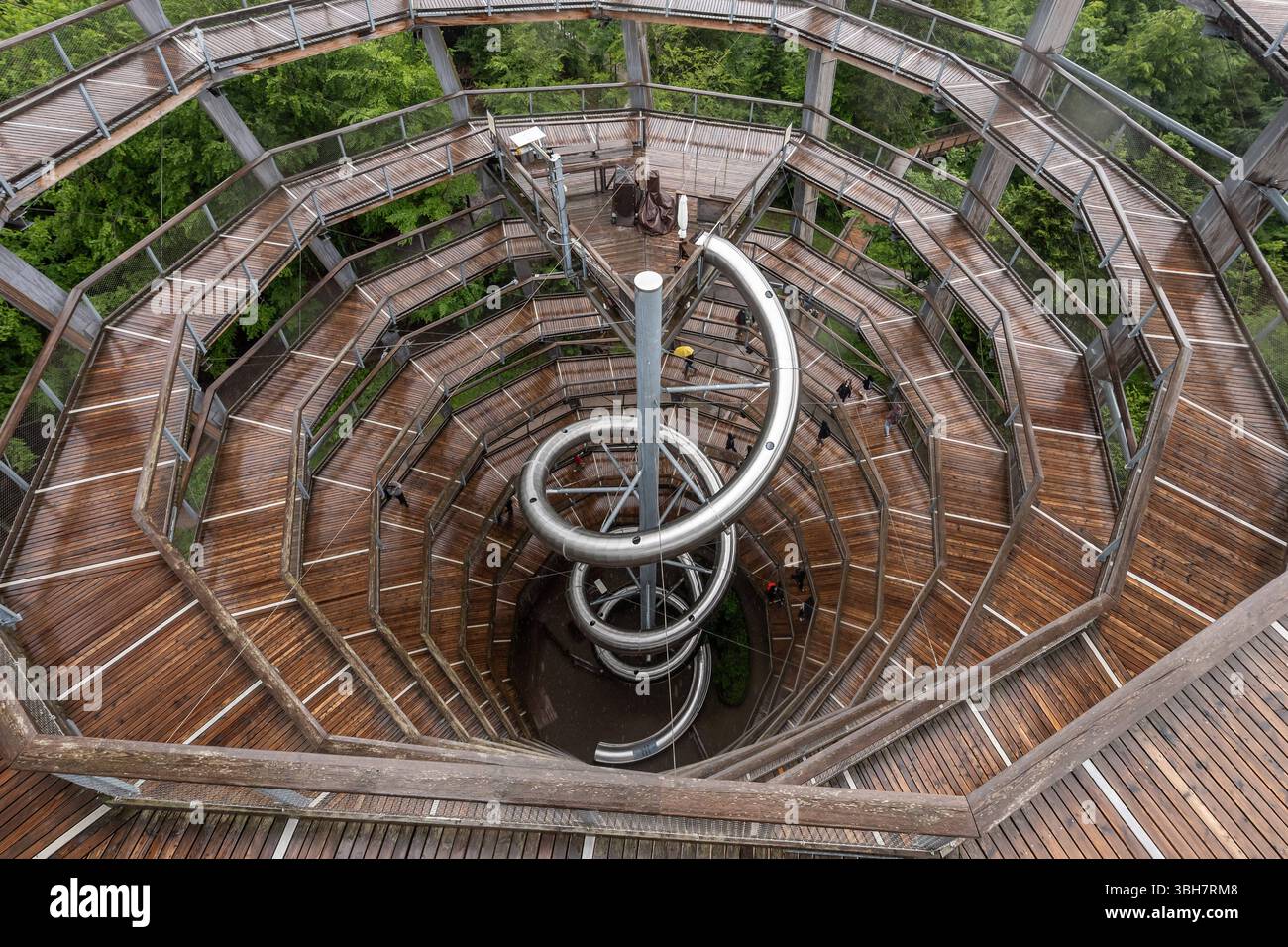Der Aussichtsturm am Baumwipfelpfad in Bad Wildbad. Bad Wildbad Baden ...