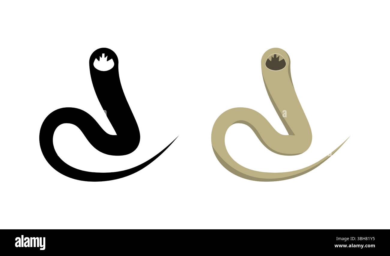 Intestinal parasite worms flat hi-res stock photography and images - Alamy