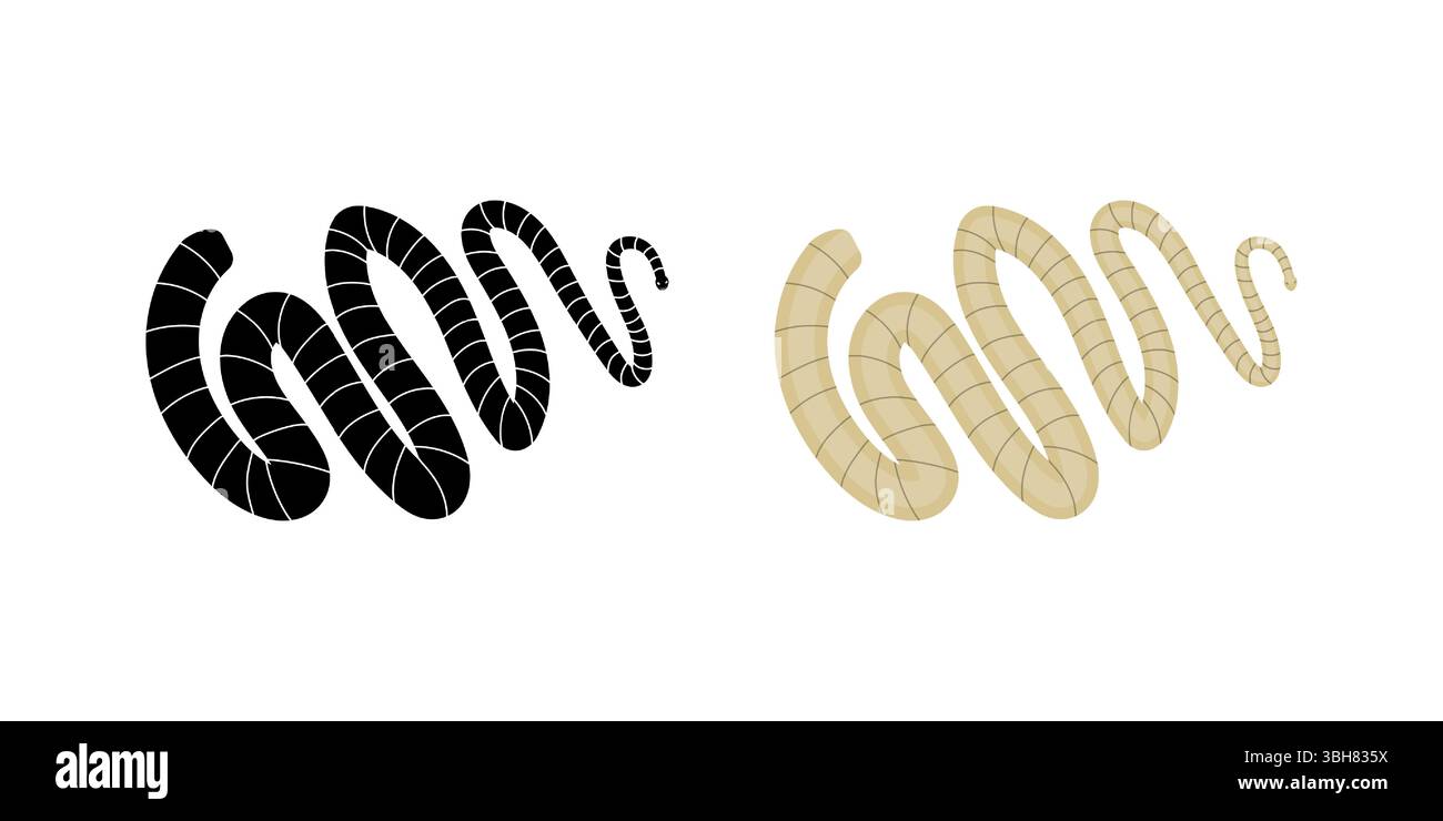 Tapeworms, segmented flatworms that parasitize intestines of ...