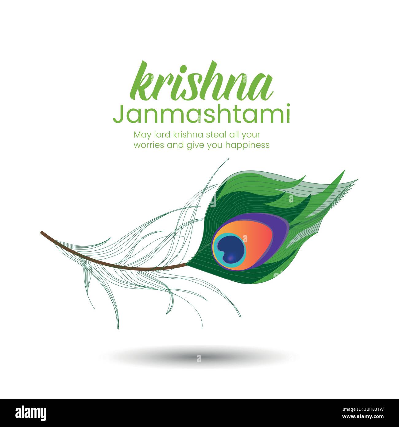 Peacock feather Beautiful bird feather stock illustration Stock Vector ...