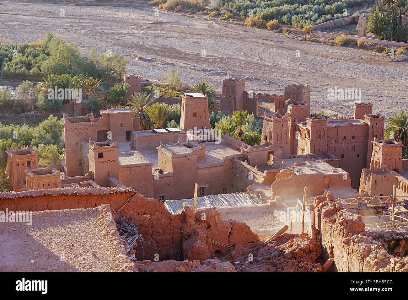 Sus masa dara hi-res stock photography and images - Alamy