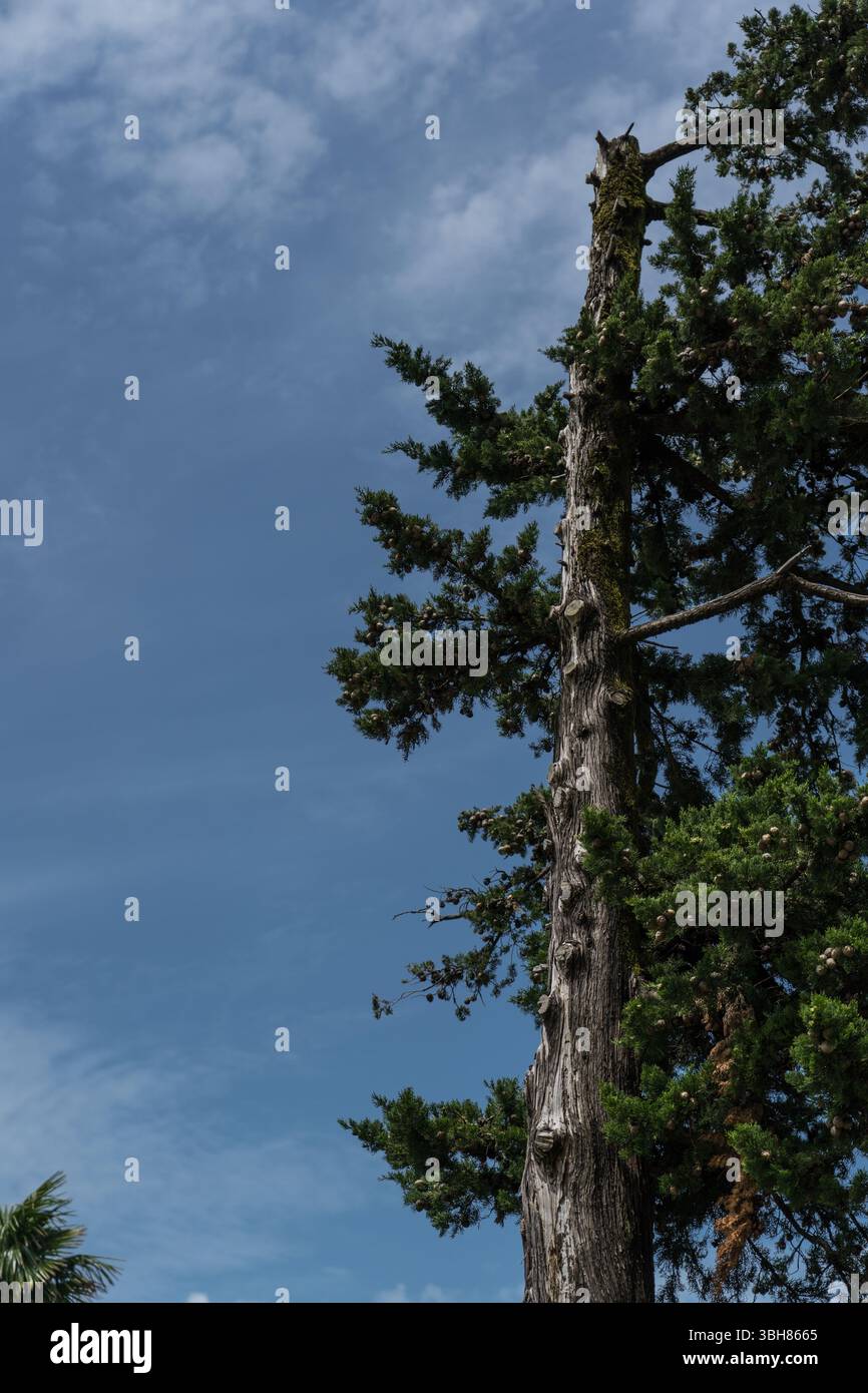 Side high hi-res stock photography and images - Alamy