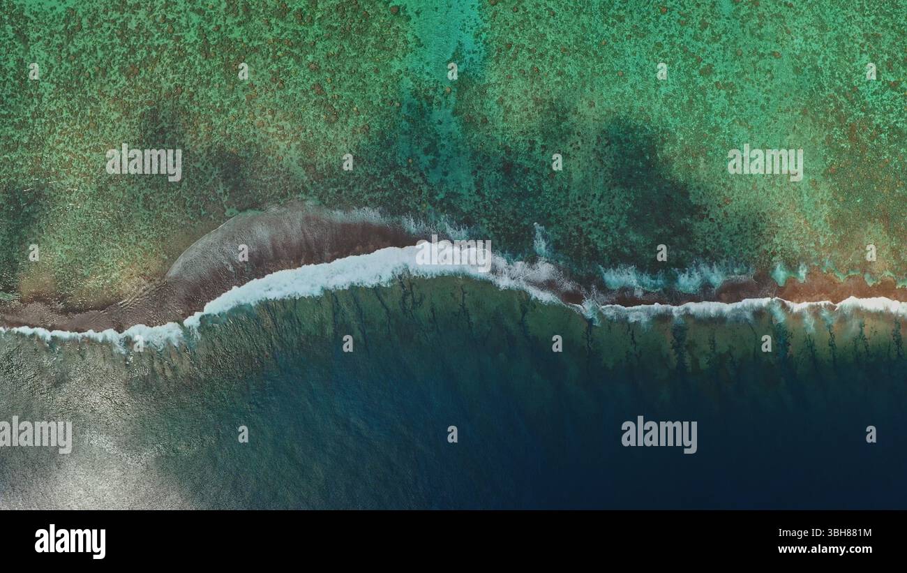 Breathtaking aerial view of the vibrant coral reef ecosystem meeting ...