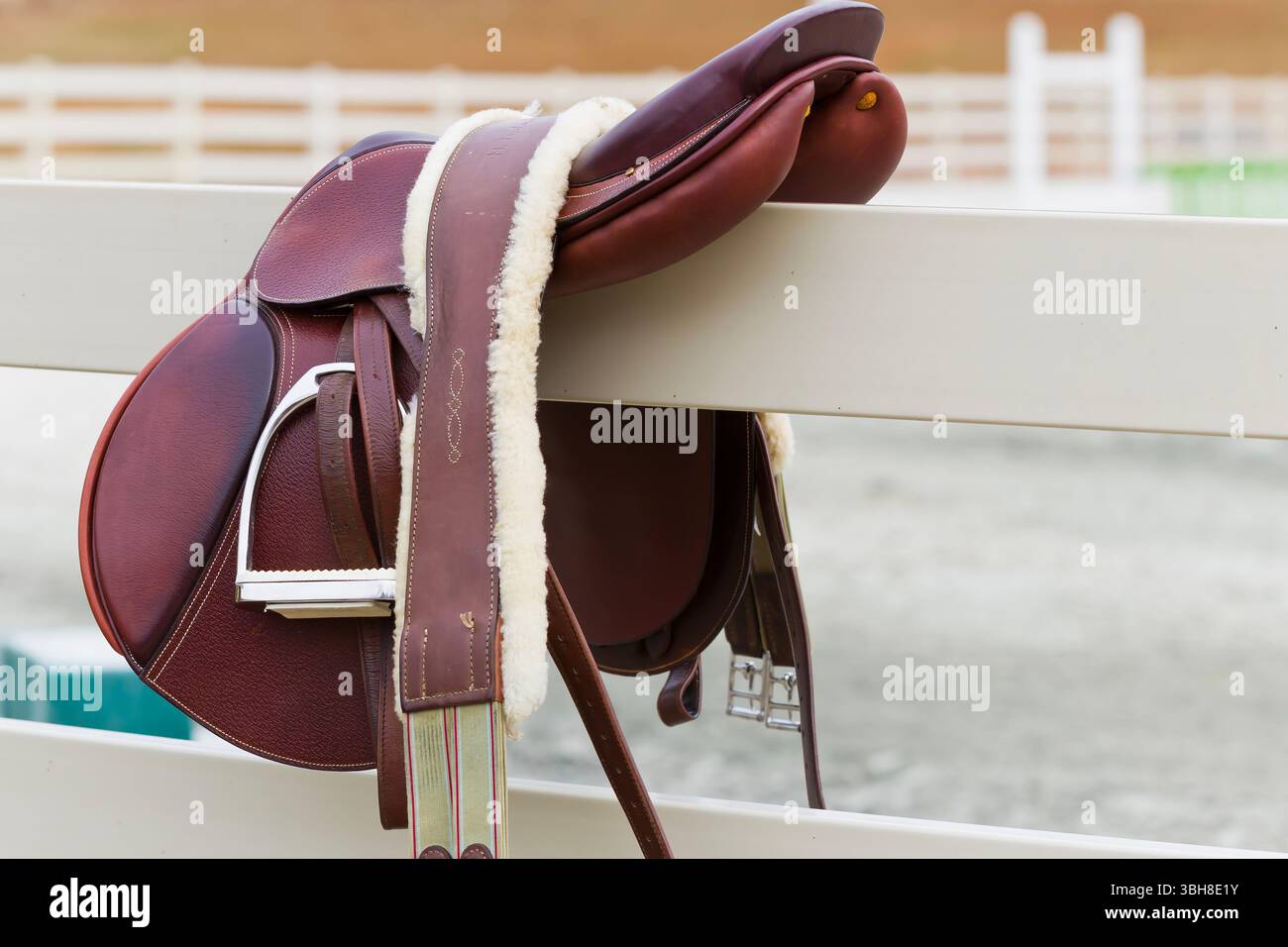 Concord, Nc, USA. 23rd Jan, 2011. A close-up of a rider's stirrup and ...