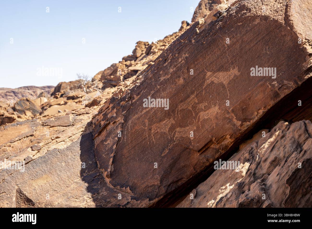 Depictions of animals on a rock slab, petroglyphs, rock engravings ...
