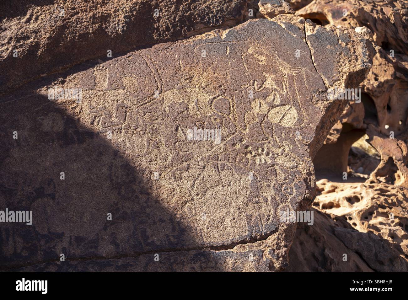 Depictions of animals on a rock slab, petroglyphs, rock engravings ...