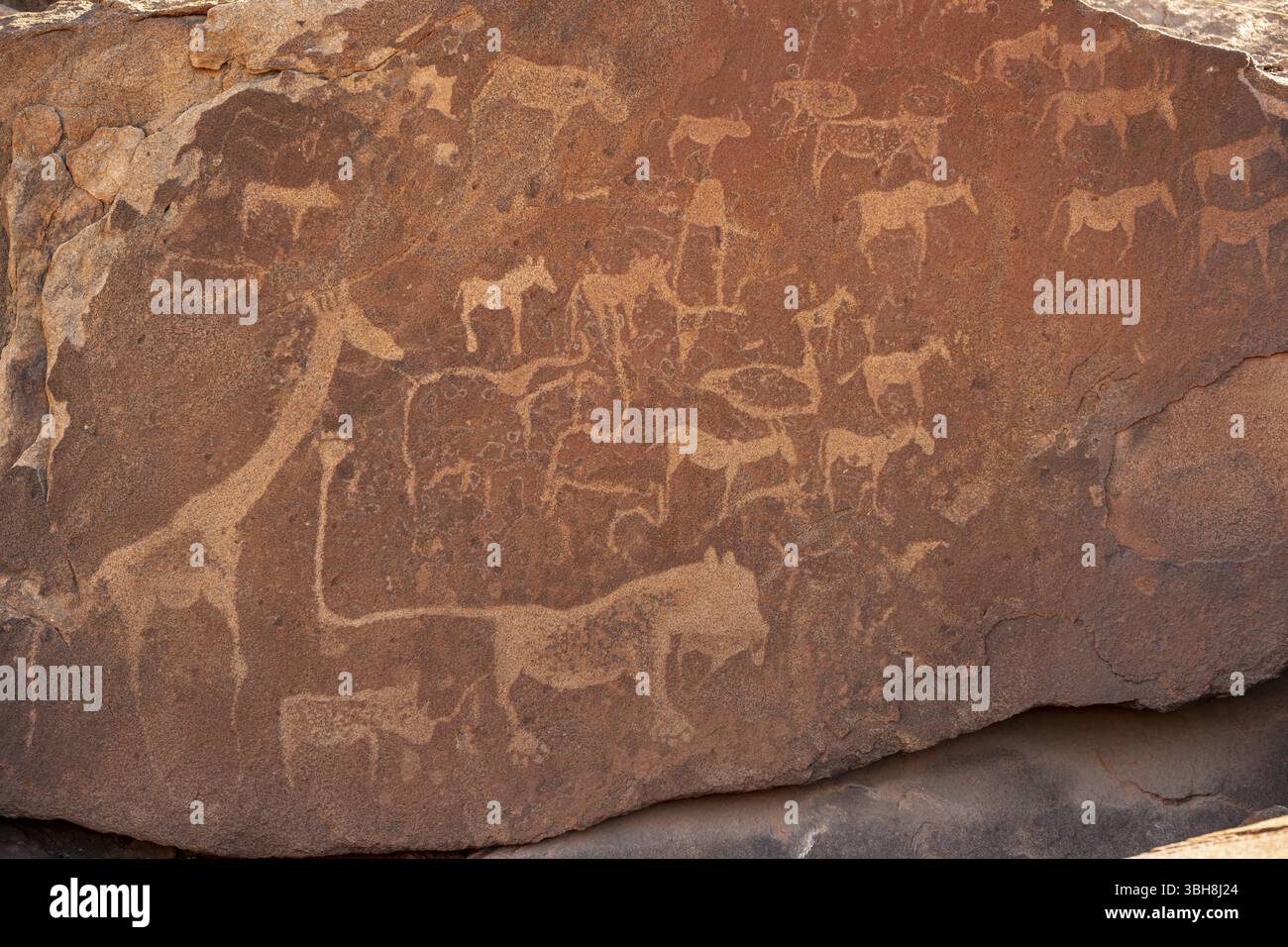 Depictions of animals on a rock slab, lion slab, rock carvings, rock ...